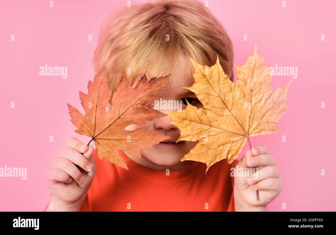 Kid playing with maple leaves. Happy childhood. Autumn time. Little ...