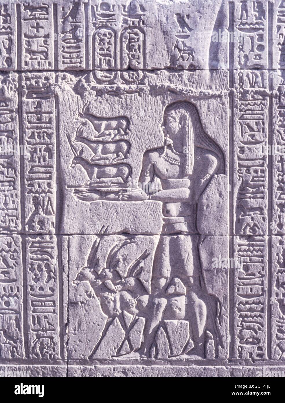 Egypt, December 1967. Kom Ombo Temple. Relief Carving of Man, Ibex, and ...