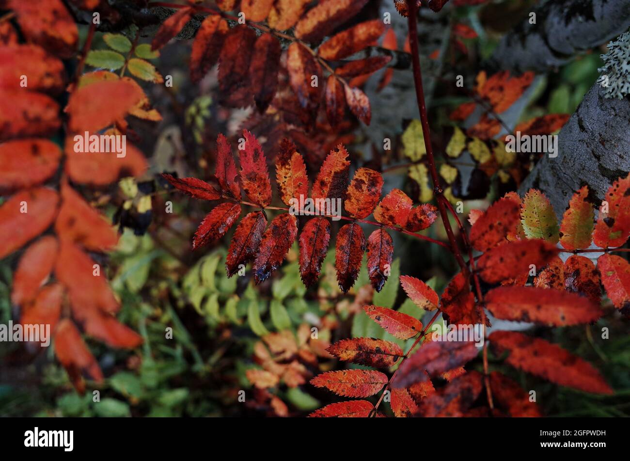 No textures hi-res stock photography and images - Alamy