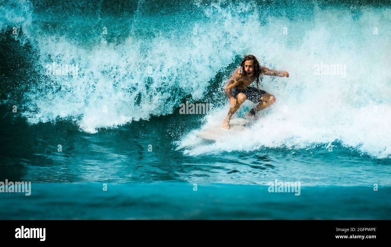 Whitewash funny hi-res stock photography and images - Alamy