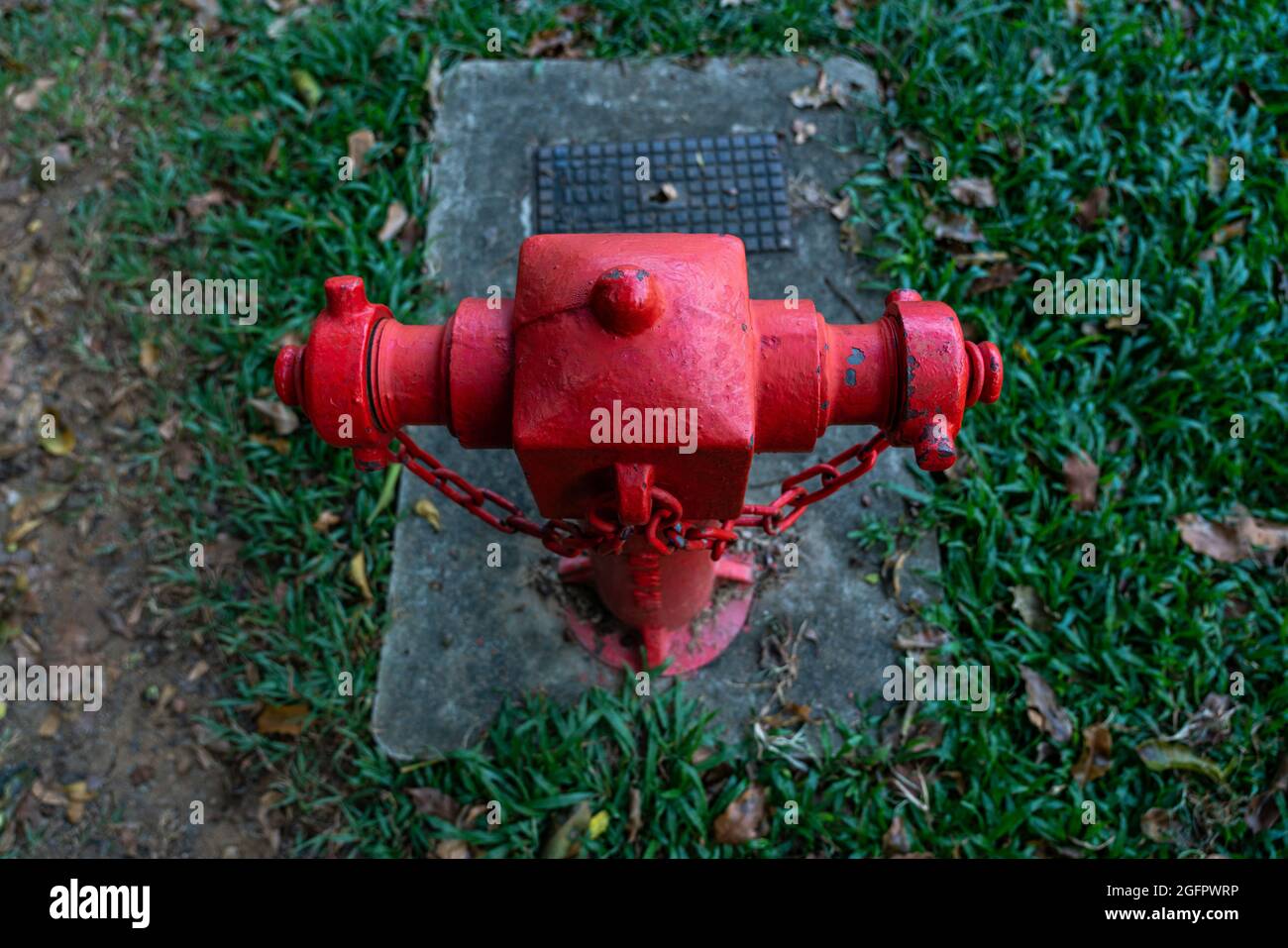 Red fire hydrant on green grass Stock Photo - Alamy