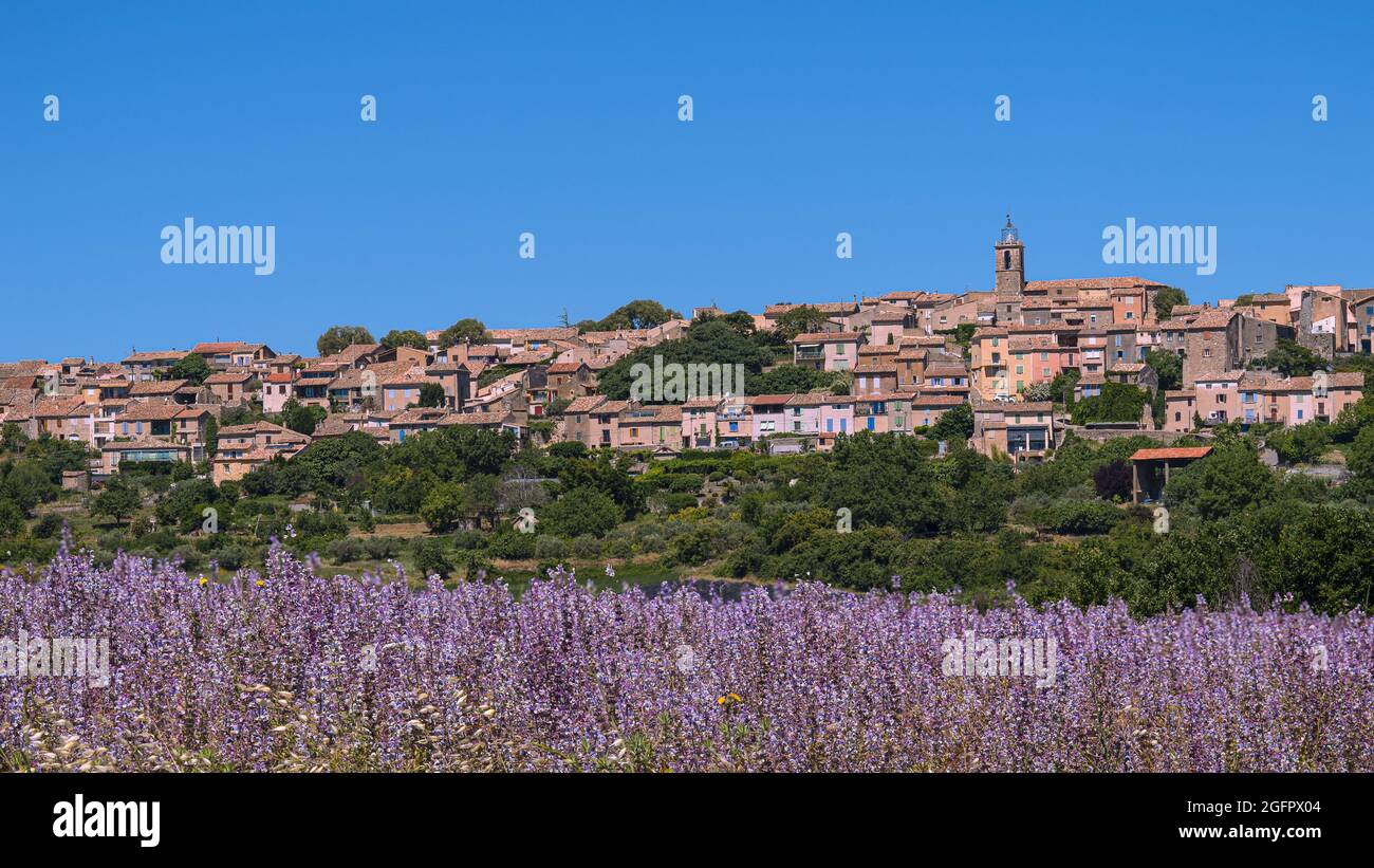 Puimoisson village and beautiful lavender fields in Valensole plateau ...