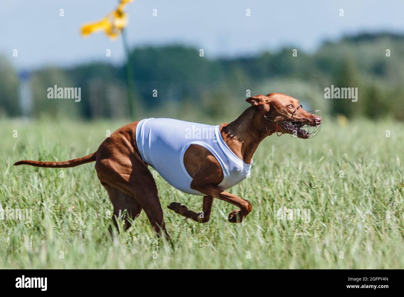 Flying jackets hi-res stock photography and images - Alamy