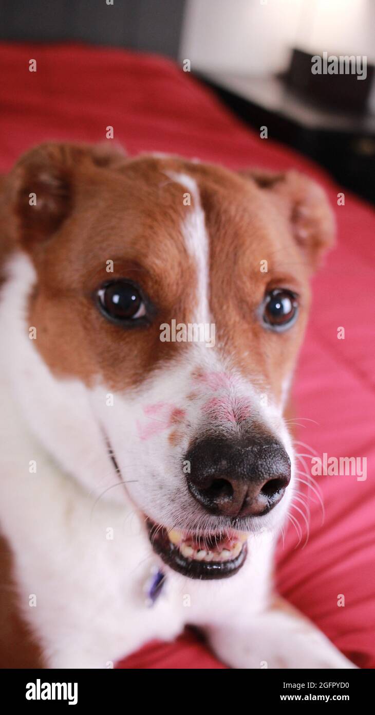 Lipstick kisses hi-res stock photography and images - Alamy