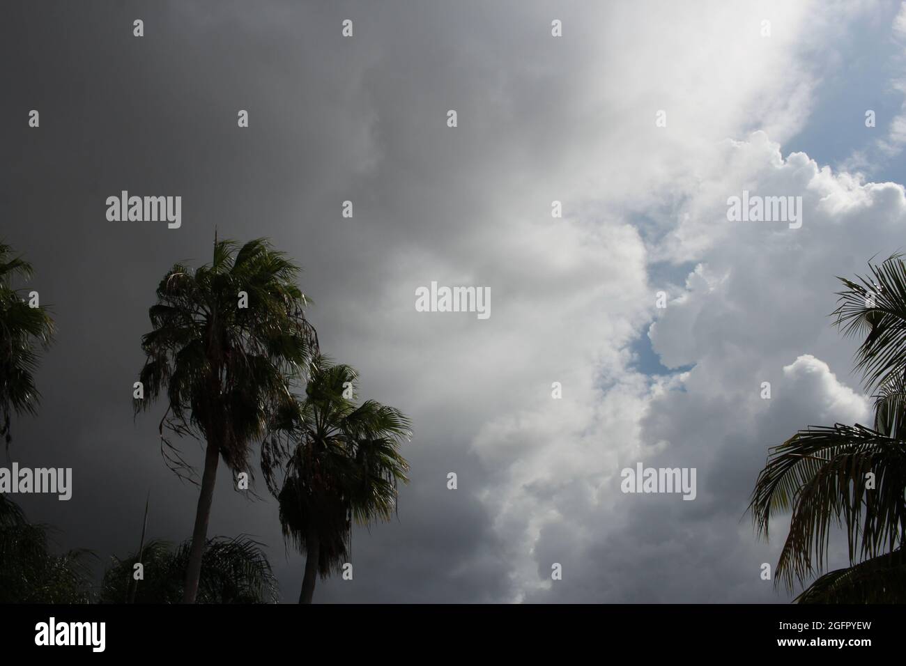 stormy clouds in Florida Stock Photo - Alamy