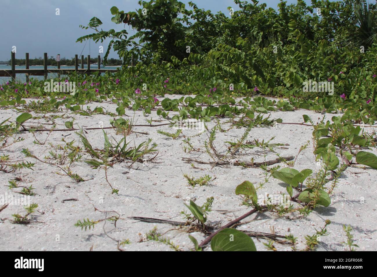 low angle sand path in the day Stock Photo - Alamy