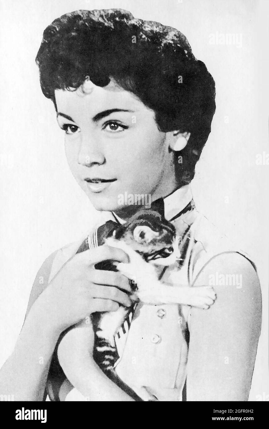 Annette funicello 1960s hi-res stock photography and images - Alamy