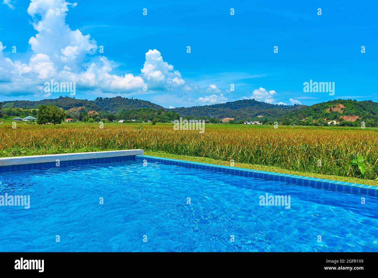 The view from the pool to the field and mountains. Swimming pool in an ...