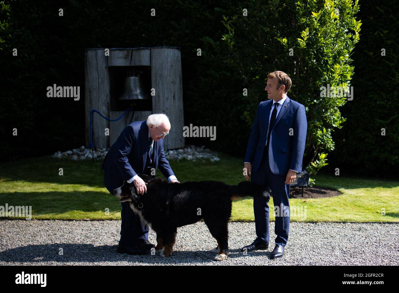Michael higgins president dogs hi-res stock photography and images - Alamy