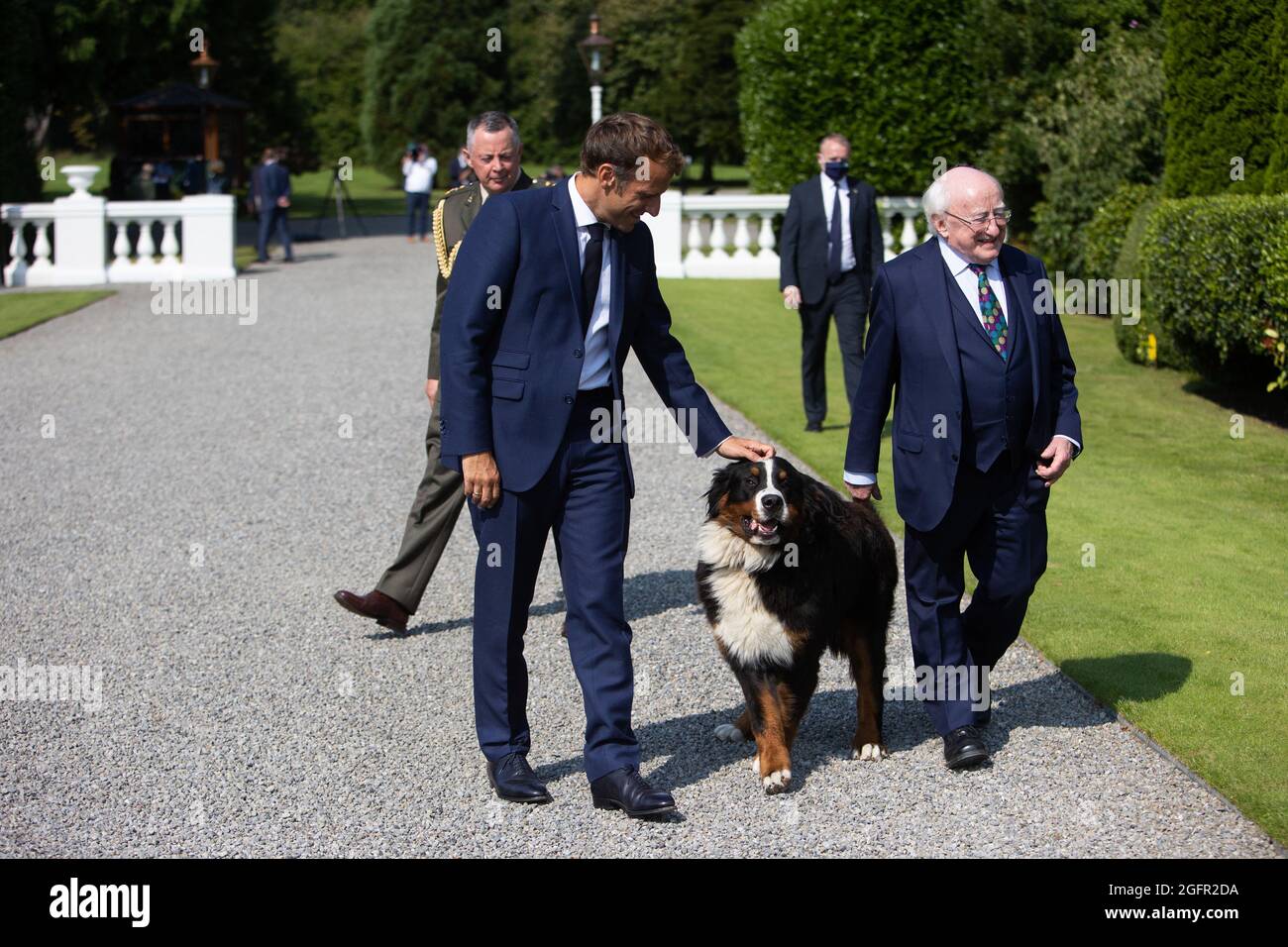 Michael higgins president dogs hi-res stock photography and images - Alamy