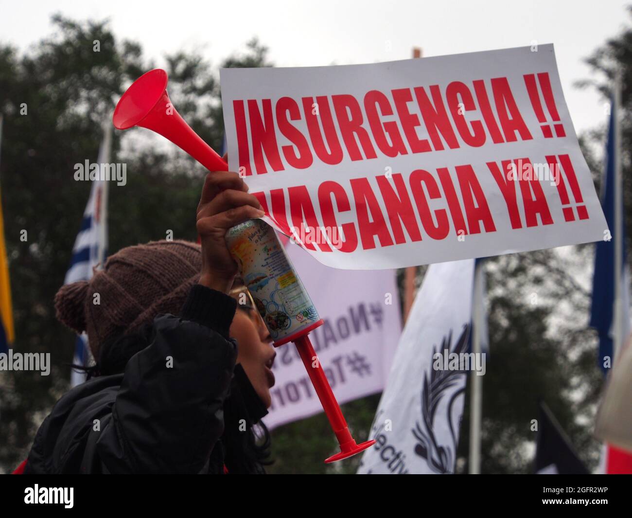 Extreme right wing hi-res stock photography and images - Alamy