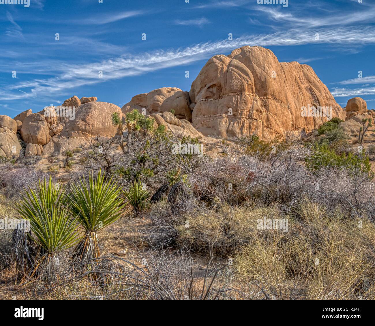 Desert vegetation in front of hills of giant stone boulders along the ...