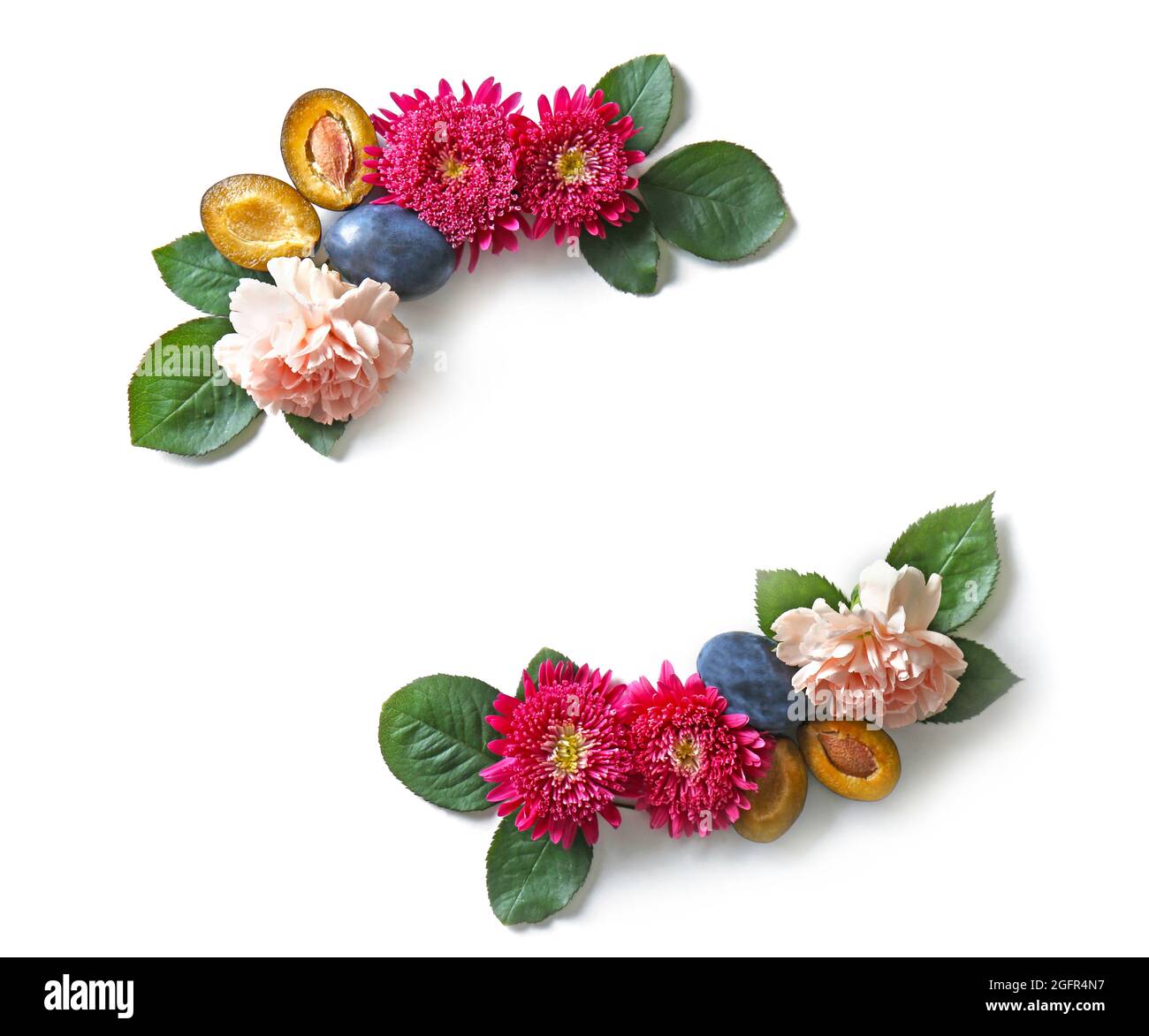 Creative flower composition isolated on white Stock Photo - Alamy