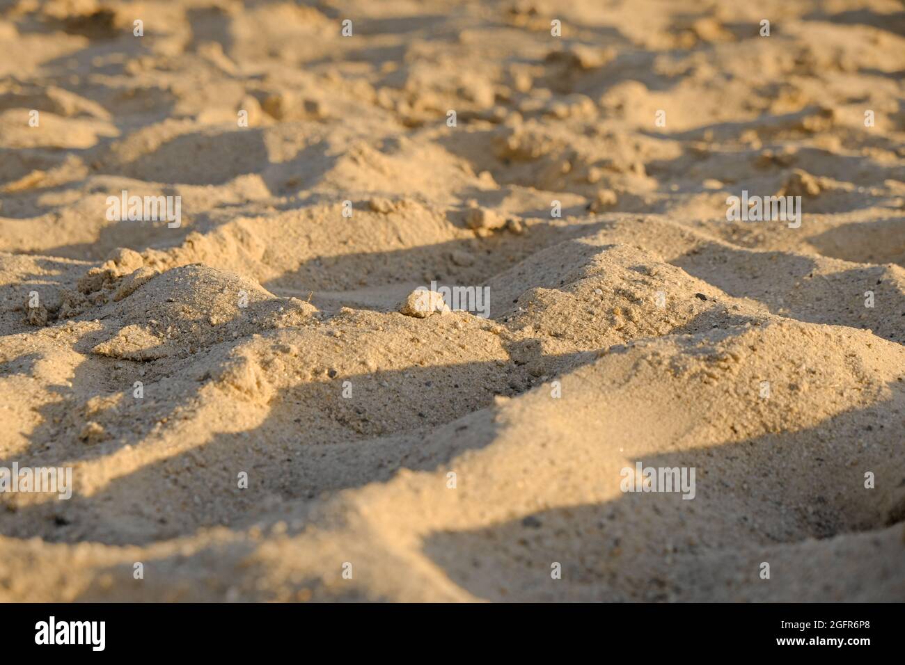 Sand texture on beach Stock Photo - Alamy