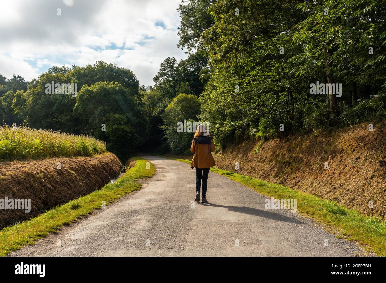 Female on the footpath in the Broceliande forest in Brittany, near ...