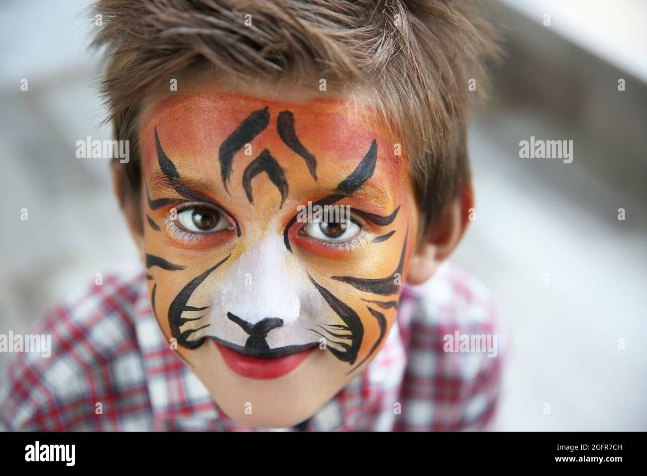 Cute little boy with aqua makeup of tiger muzzle Stock Photo - Alamy