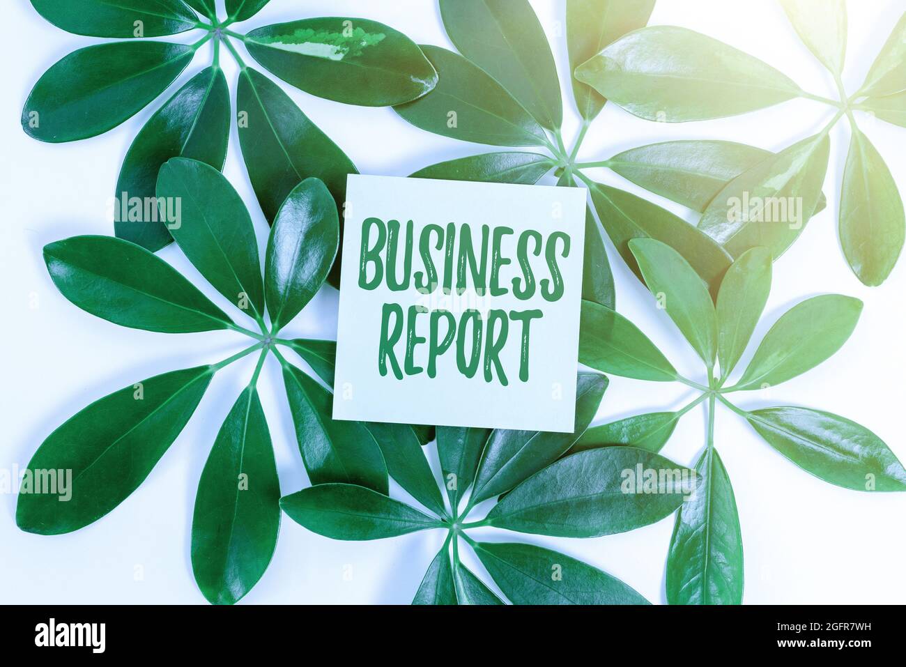 Text caption presenting Business Report. Business concept the formal ...