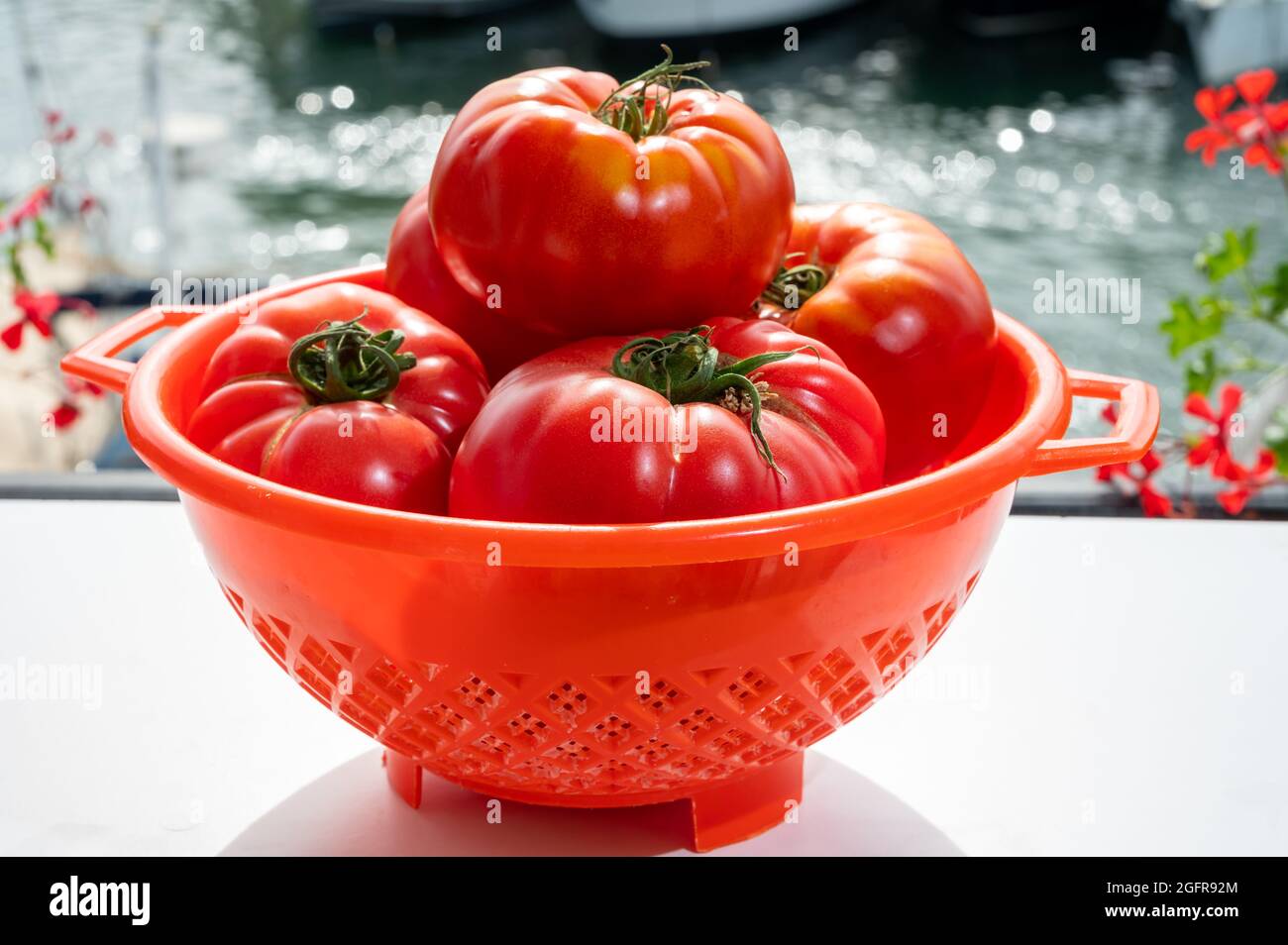 Tasty big ripe french tomatoes from Provence ready to eat in healthy ...