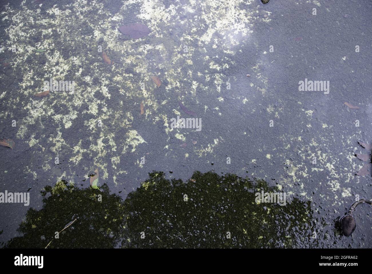 Overhead abstract pattern of the ground surface with sunlight ...
