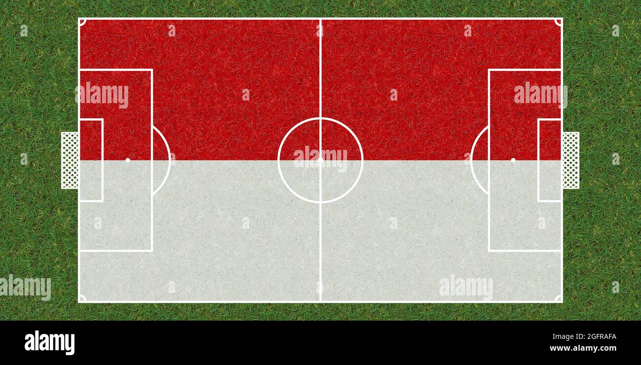 Top view of Green grass soccer field with flag of Monaco. football ...