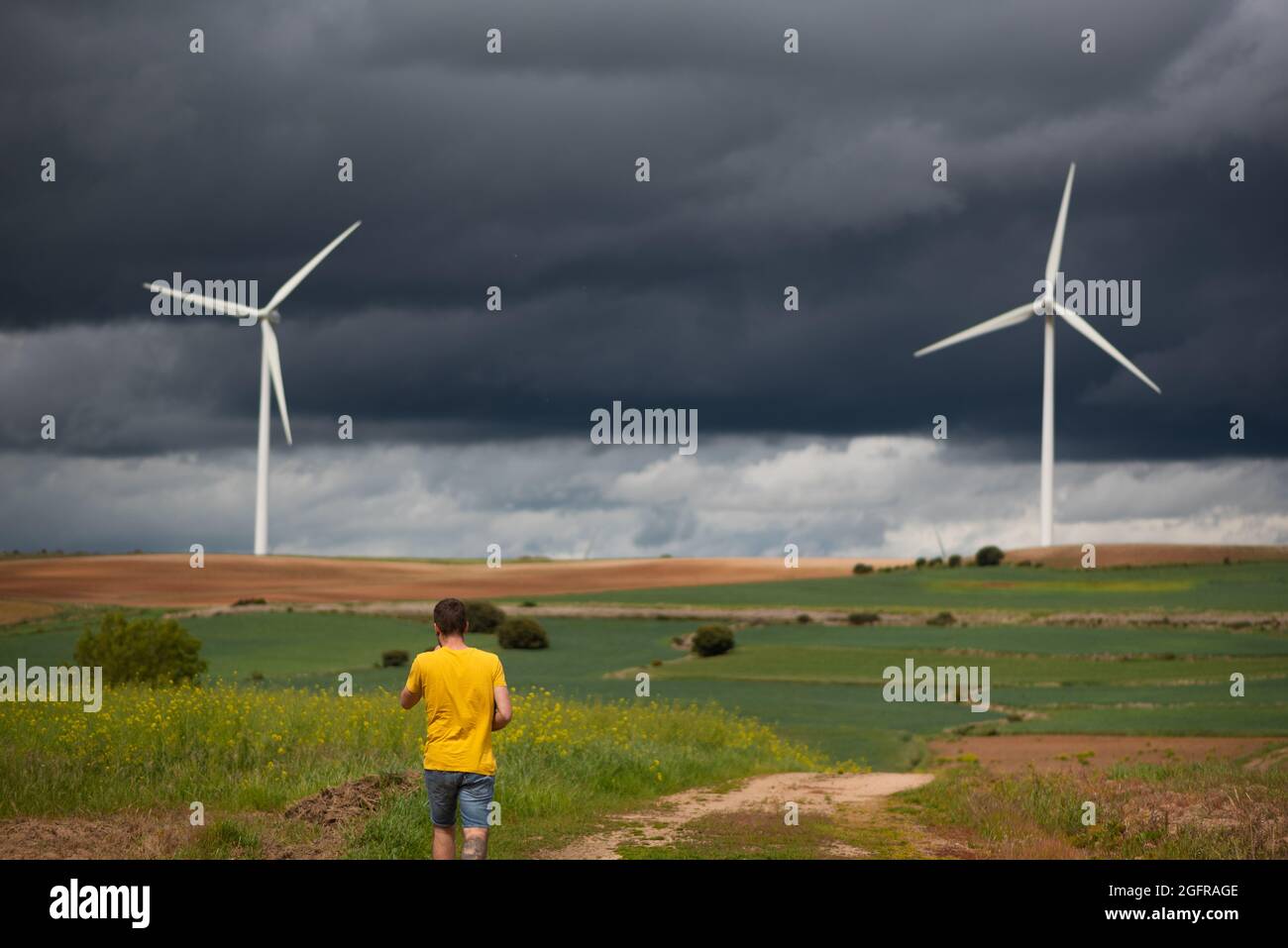 Wide back view shot of a young adult caucasian man walking through a ...