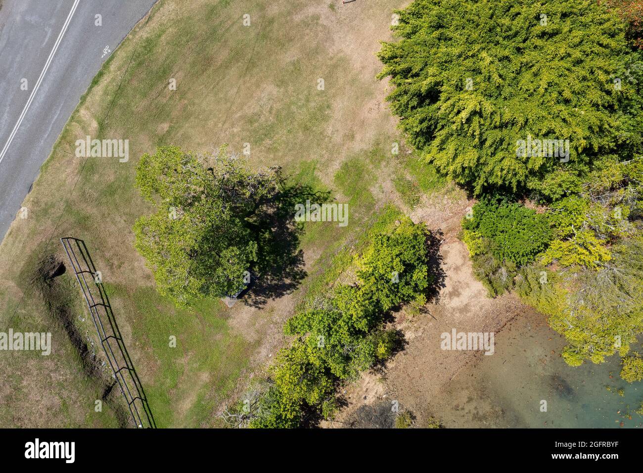 Overhead pattern land trees hi-res stock photography and images - Alamy