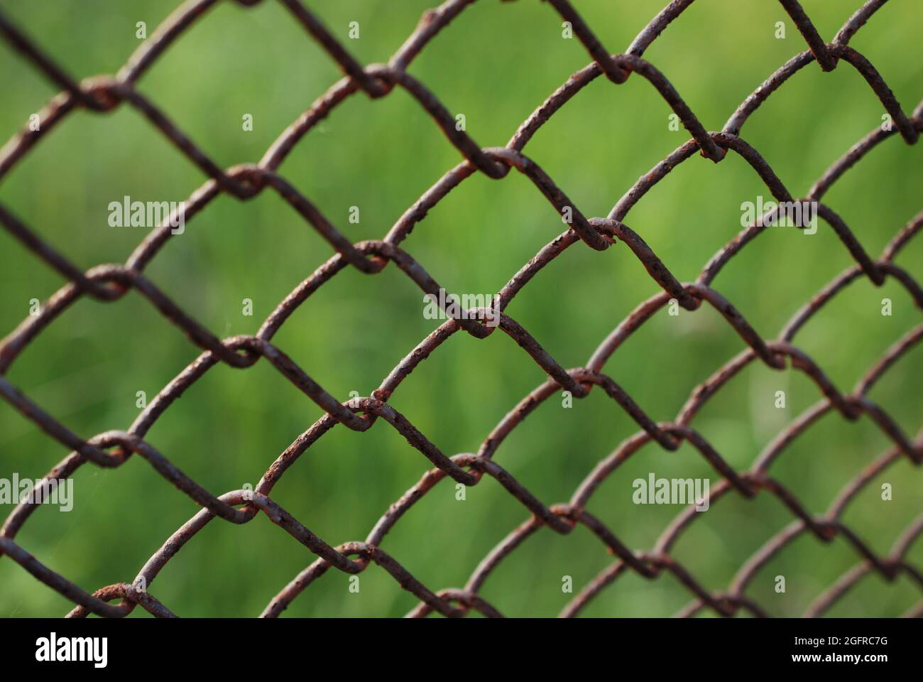 Closeup shot of a metal net fence on a green blurred background Stock ...