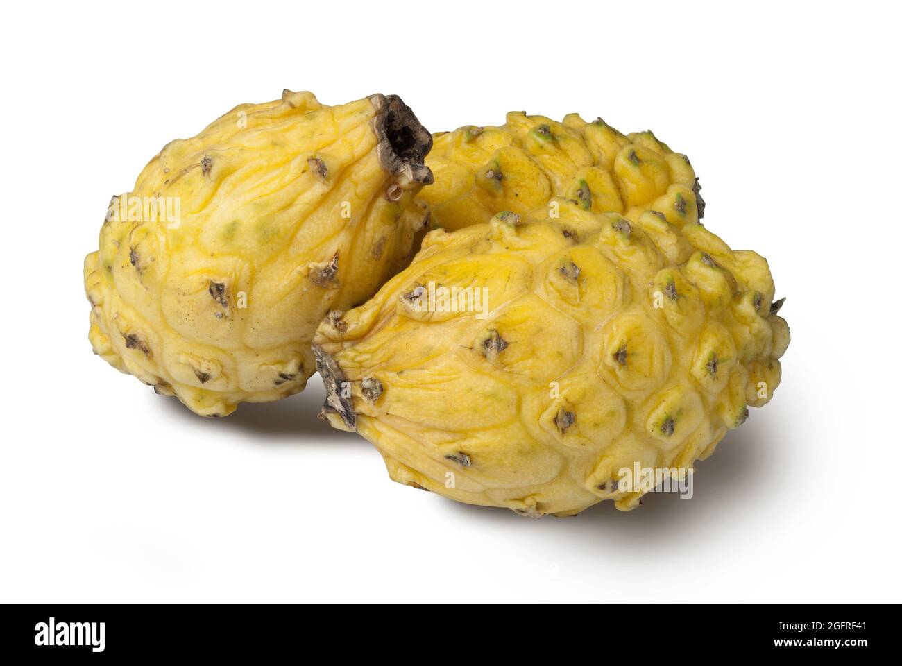 Yellow Pitaya or organic dragon fruit from tropical regions Stock Photo ...