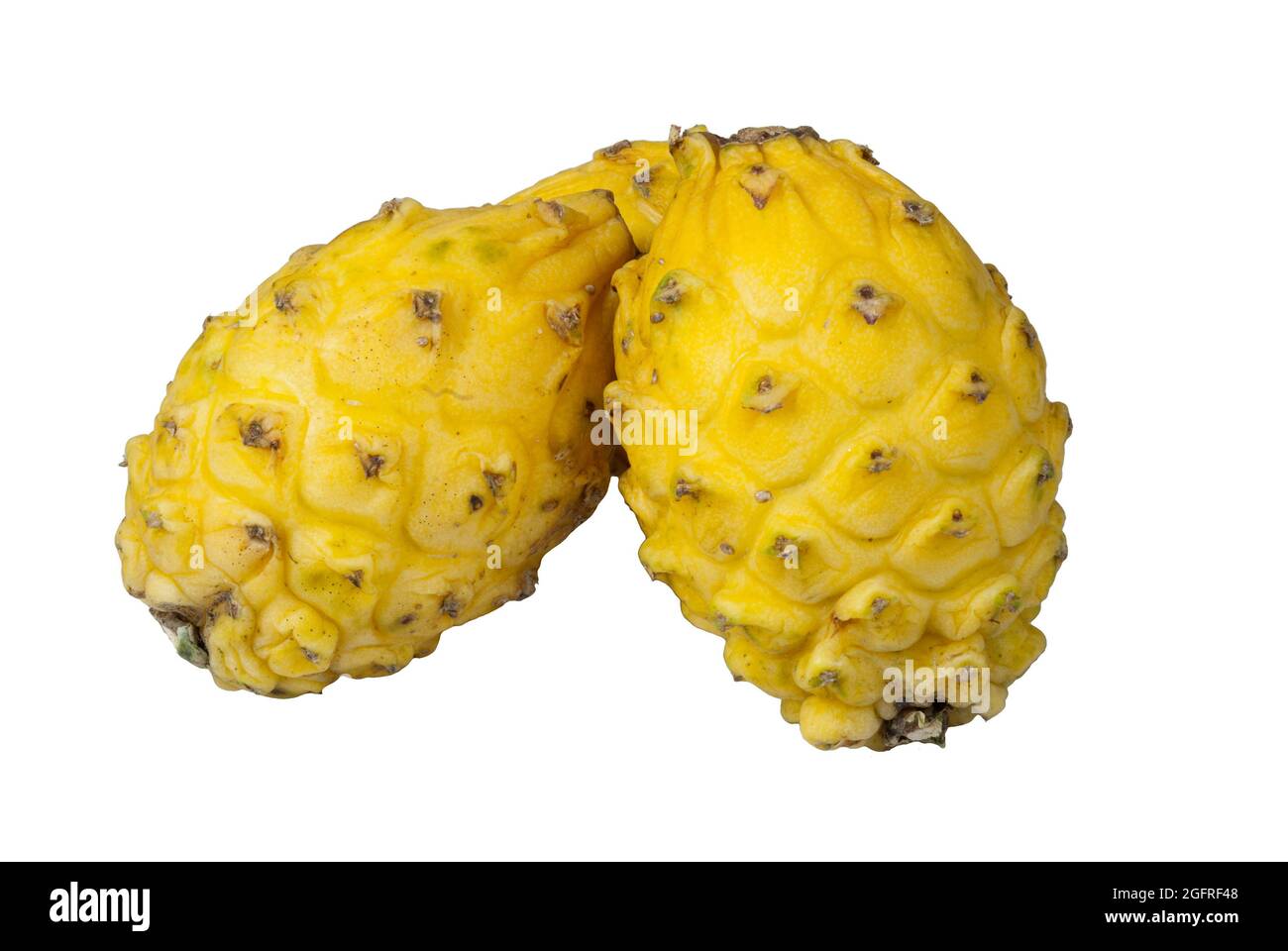 Yellow Pitaya or organic dragon fruit from tropical regions Stock Photo ...