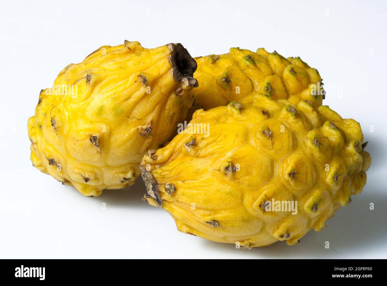 Yellow Pitaya or organic dragon fruit from tropical regions Stock Photo ...