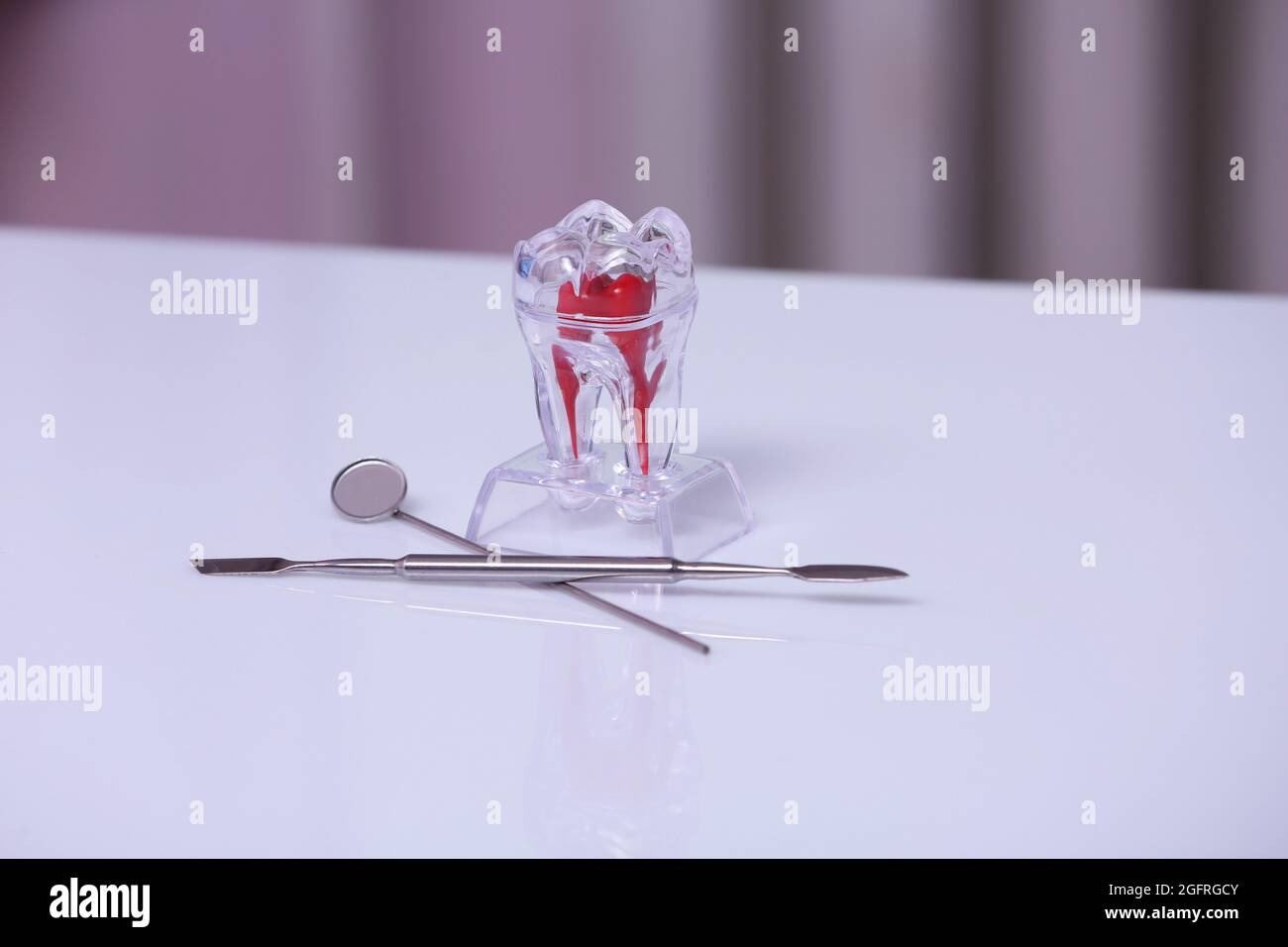 Dental tooth model and tools on table Stock Photo - Alamy