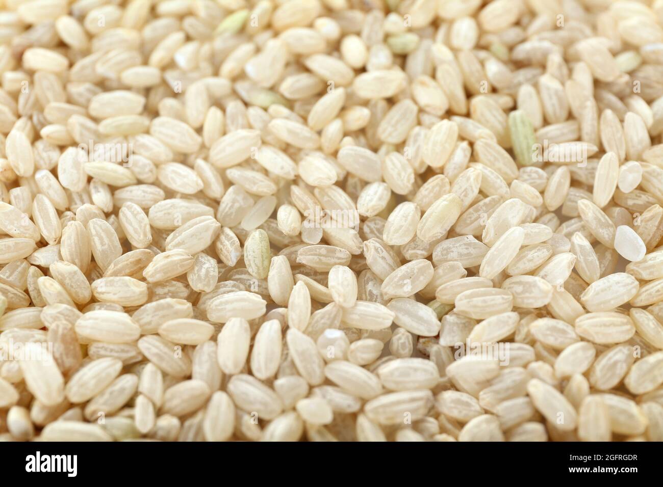 Brown short grain rice background Stock Photo - Alamy