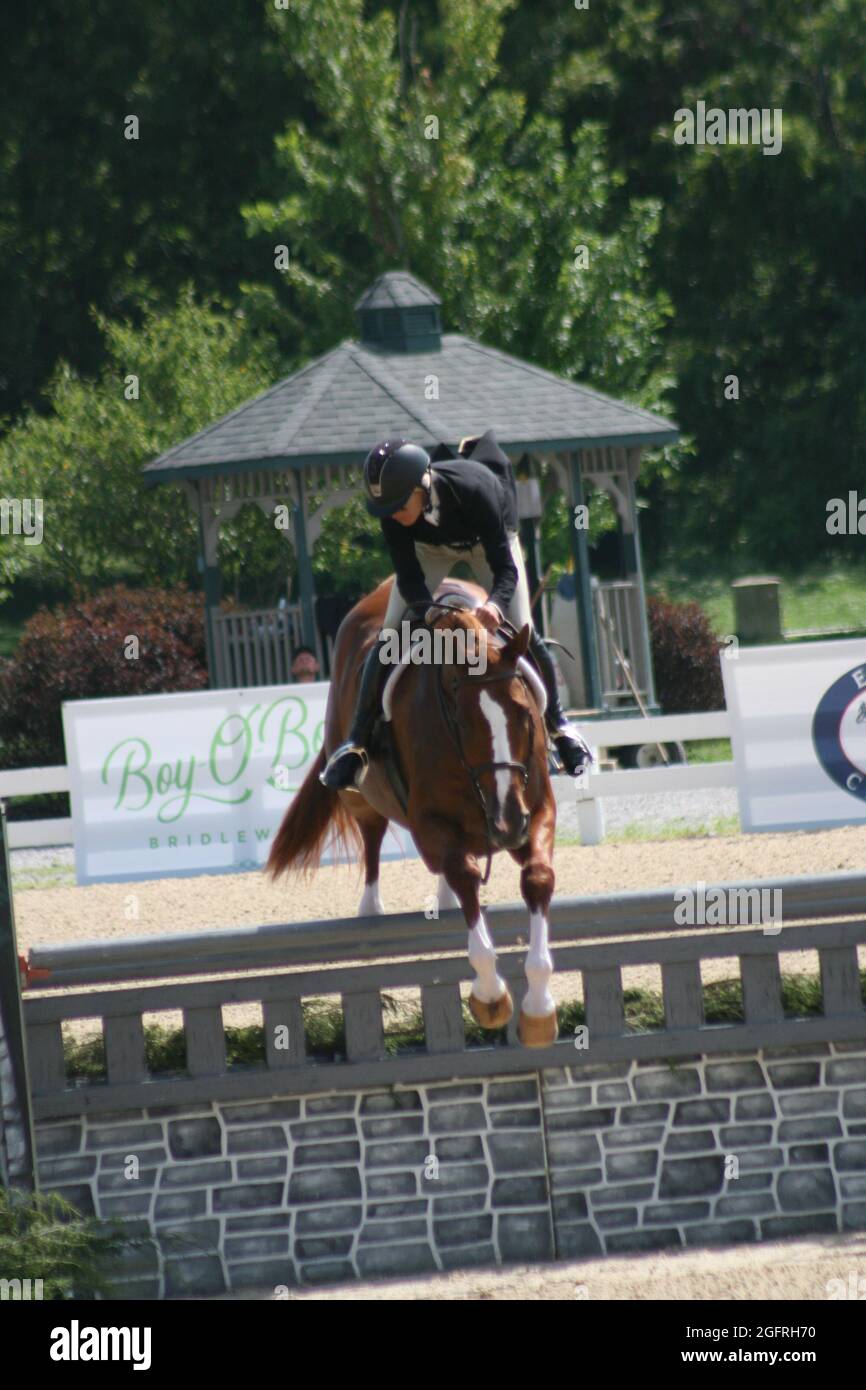Rolex Stadium in Kentucky Horse during the Bluegrass Festival Horse ...
