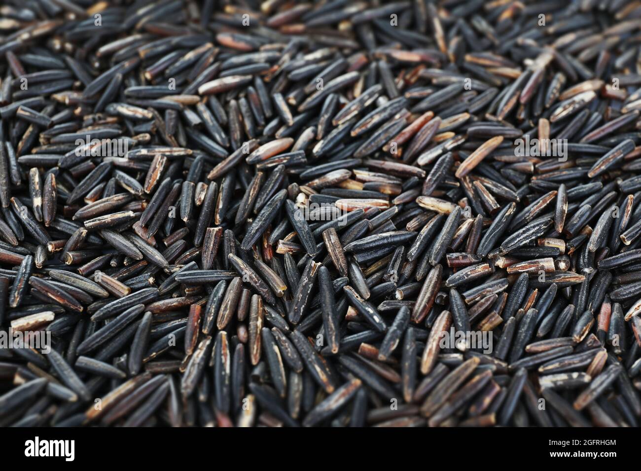 Dark wild rice background Stock Photo - Alamy