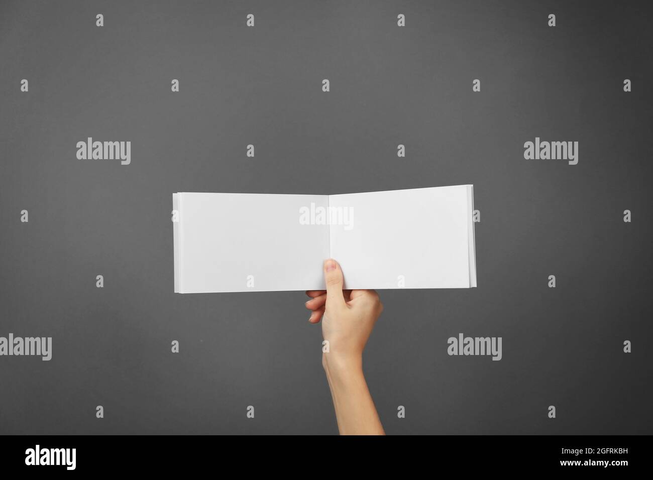 Female hand holding blank open notebook on grey background Stock Photo ...