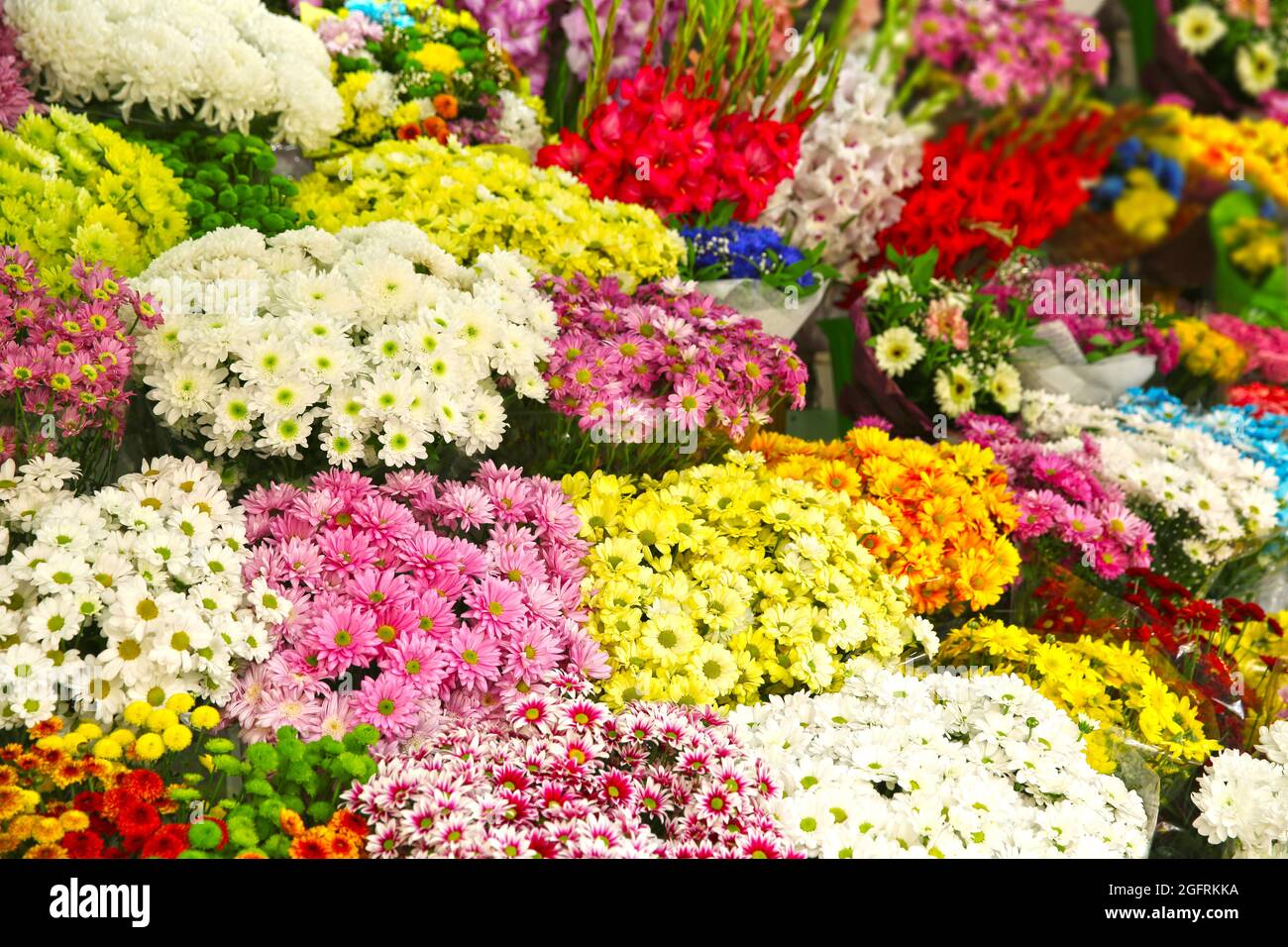 Plenty of colorful flowers in flower shop Stock Photo - Alamy