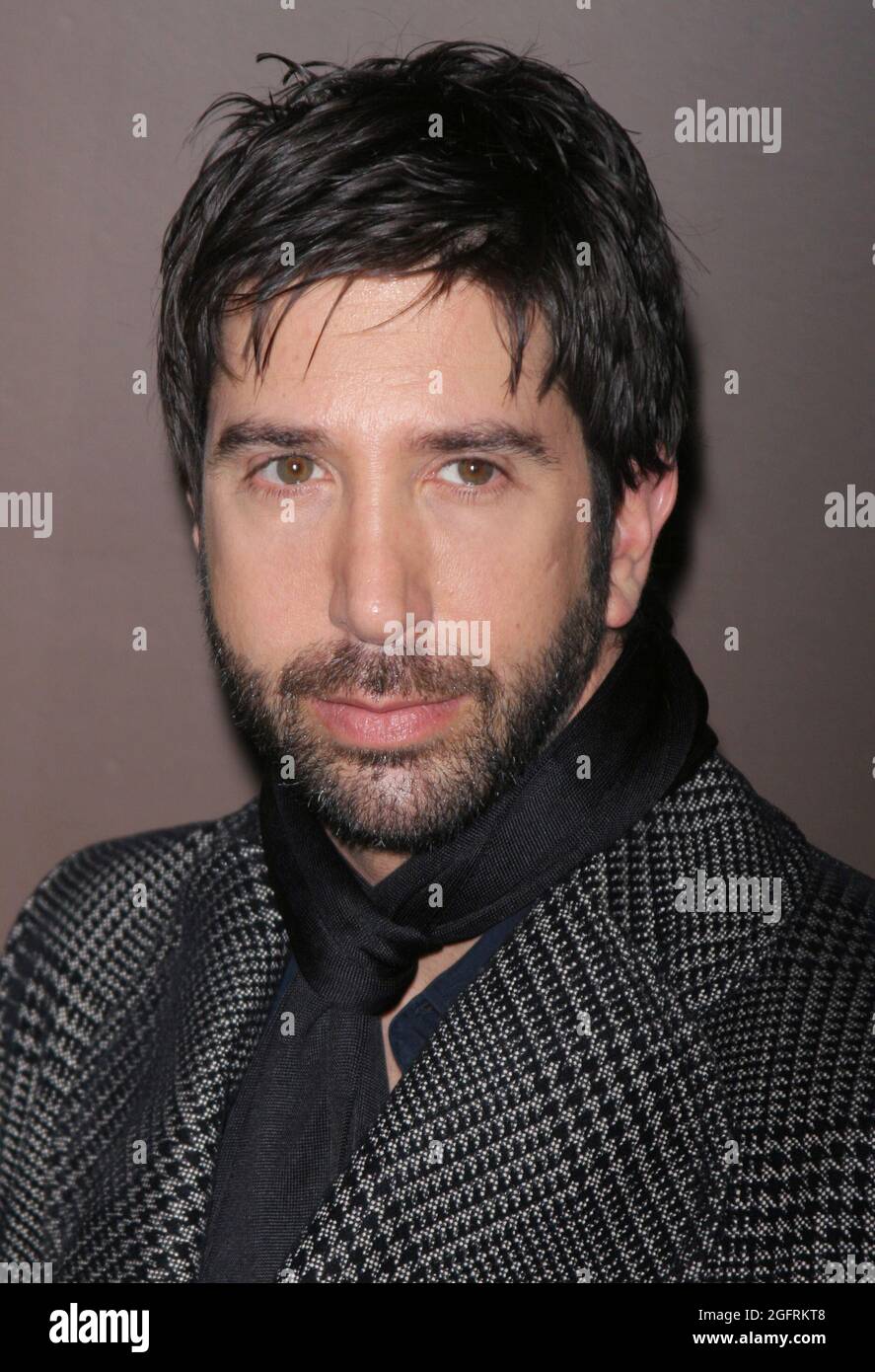 David Schwimmer Beard Friends Star David Schwimmer Looks Totally