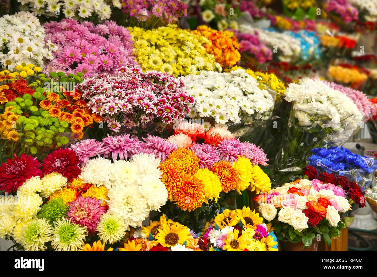 Plenty of colorful flowers in flower shop Stock Photo - Alamy