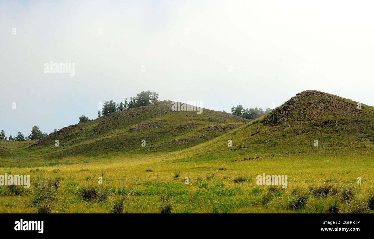 Rocky hills with sparse trees and peaks hidden by fog. Khakassia ...