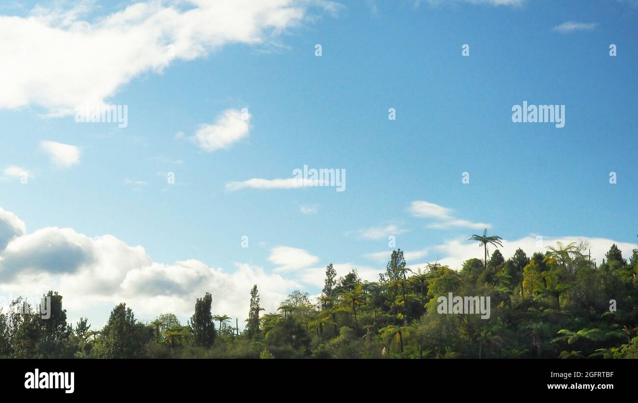 Hill above treeline hi-res stock photography and images - Alamy