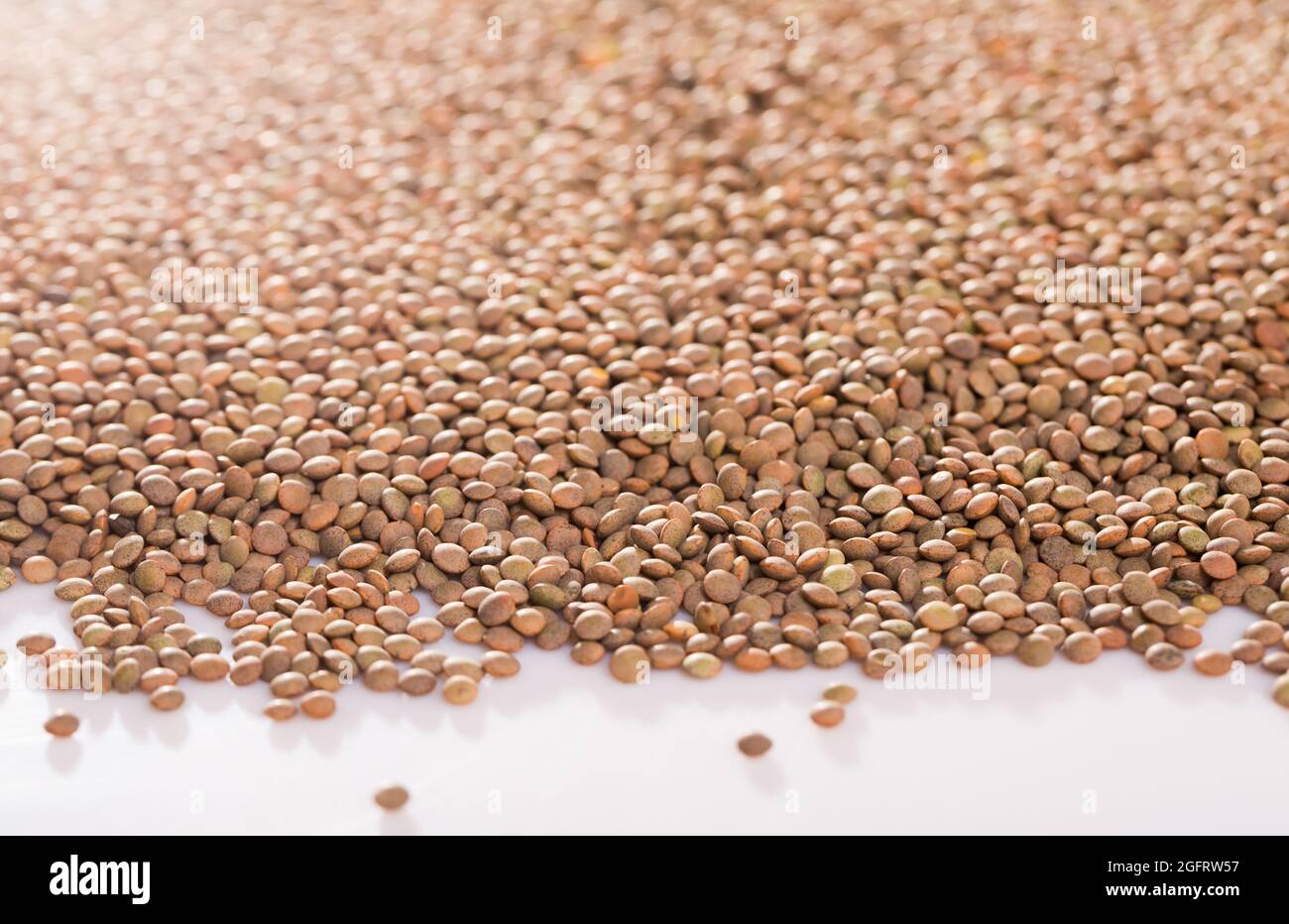 Lentil grains on white background Stock Photo - Alamy
