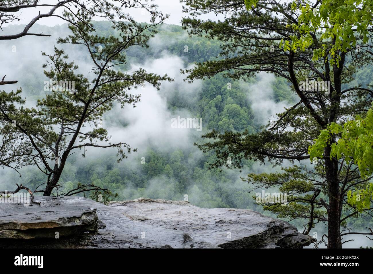 New River Gorge National Park, West Virginia. Looking across New River ...