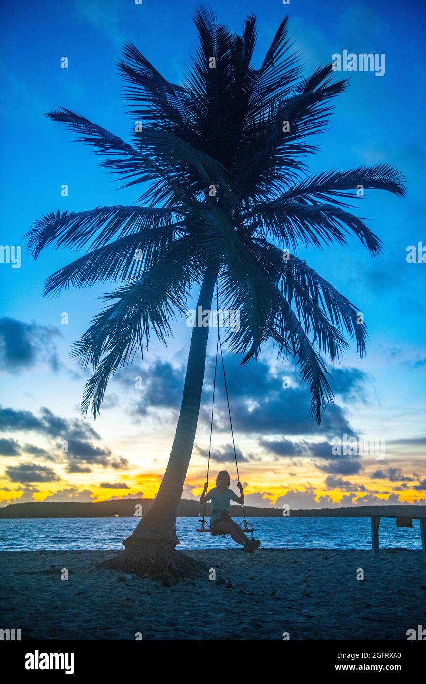 A woman swinging from a palm tree near sunrise - Puerto Rico Stock ...