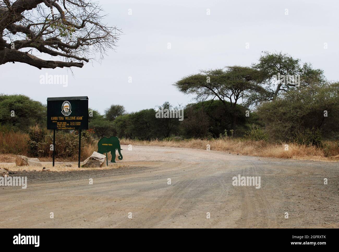 Tsintsabis School Clipart