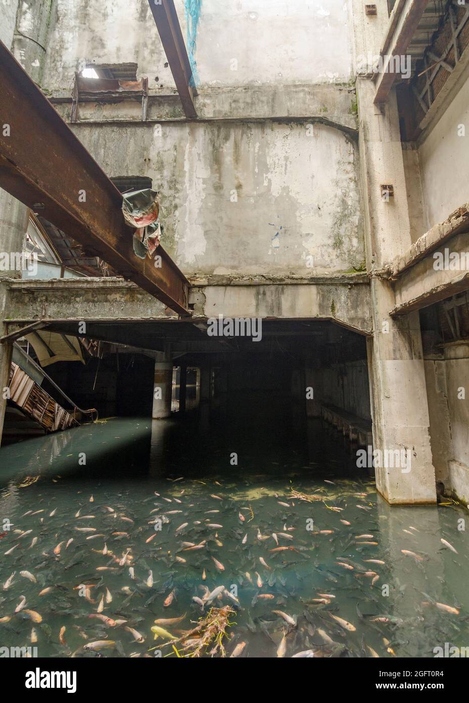Abandoned and flooded mall filled with fish in Bangkok, Thailand Stock ...