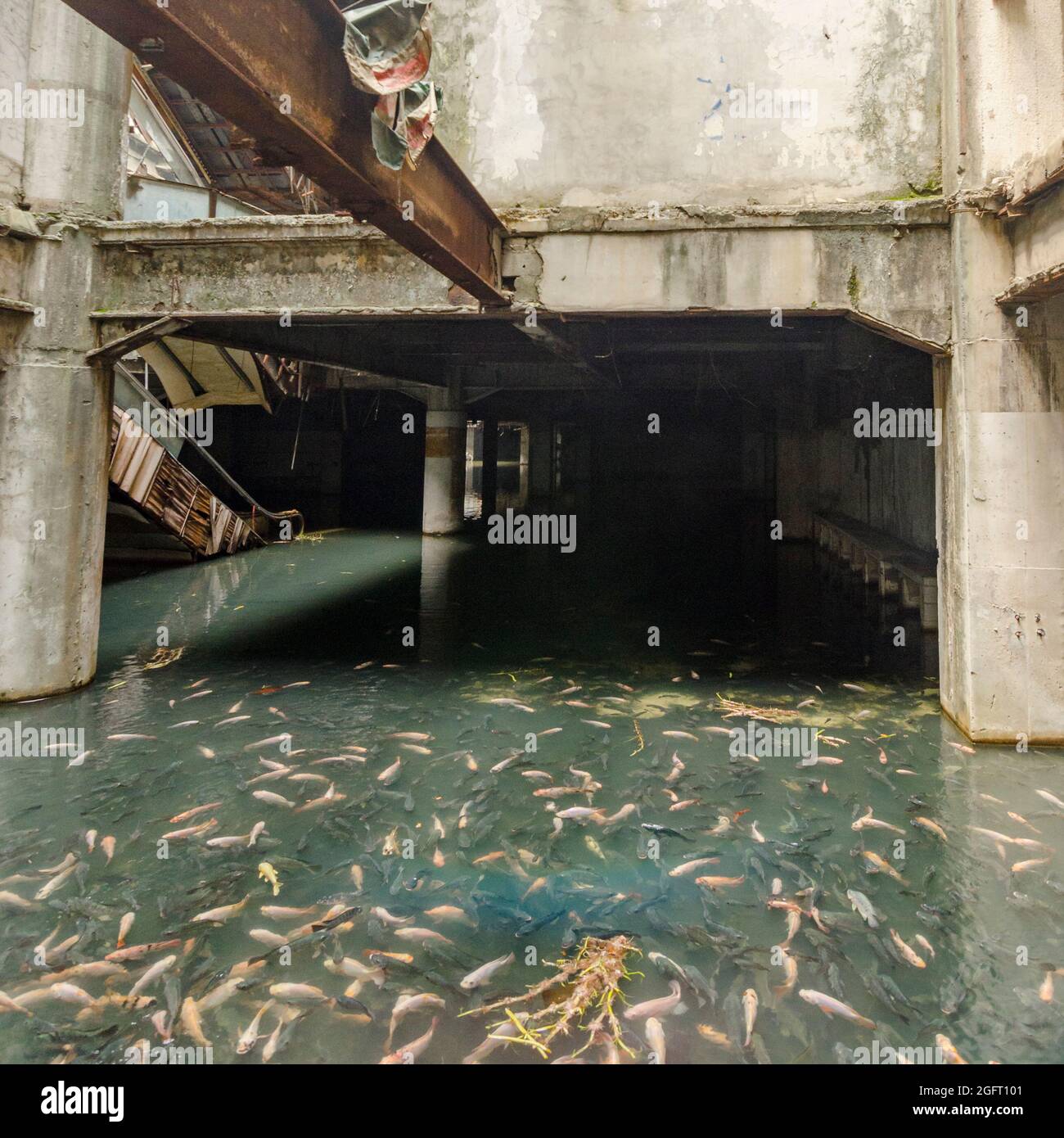 Abandoned and flooded mall filled with fish in Bangkok, Thailand Stock ...