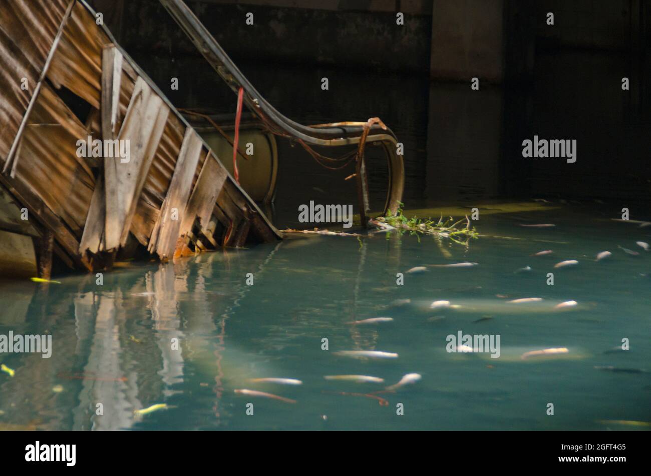 Abandoned and flooded mall filled with fish in Bangkok, Thailand Stock ...