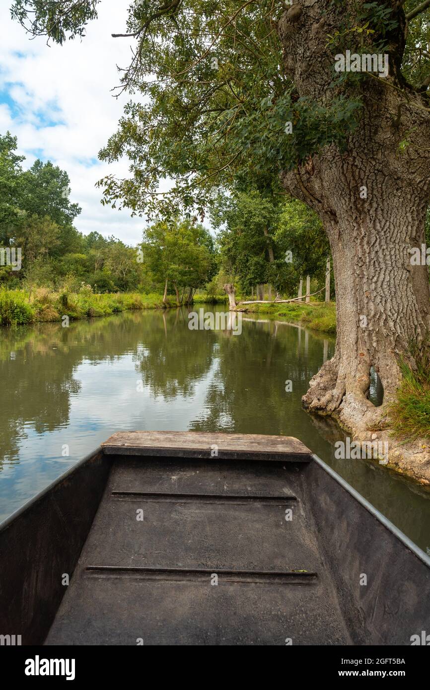 Vertical shot of a sailing boat on natural water channels between La ...