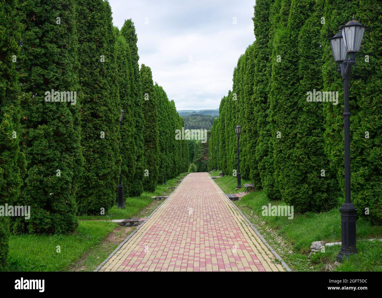 A long alley with cypress trees, benches and lanterns Stock Photo - Alamy
