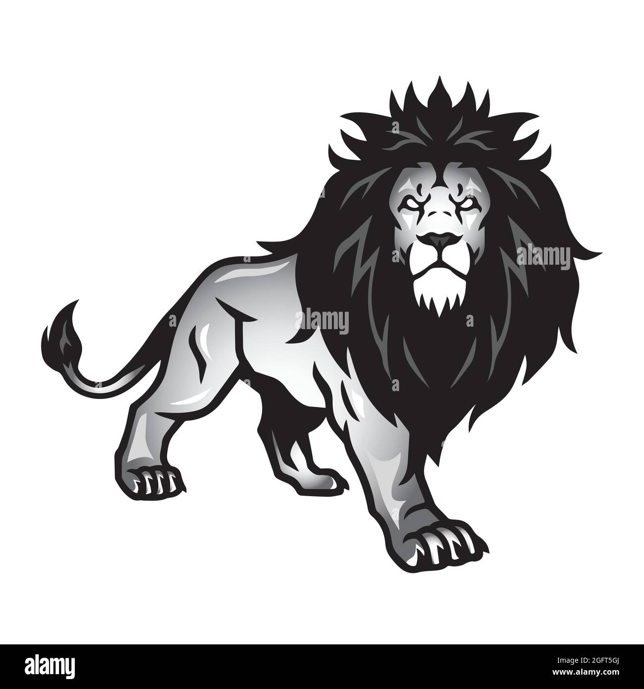 Wild Lion Stance Vector Illustration Stock Vector Image & Art - Alamy